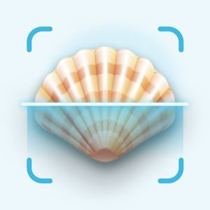 Sea Shell Identifier & Guide - Introducing the ultimate Seash