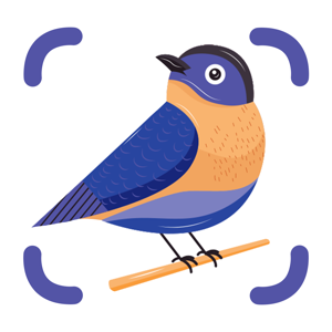 BirdSnap: Bird Identifier ID - BirdSnap is your go-to app for