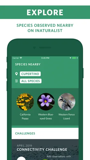 Seek by iNaturalist - 用图像识别来看各种鸟类，植物和菌类等多种动植物，这个 App